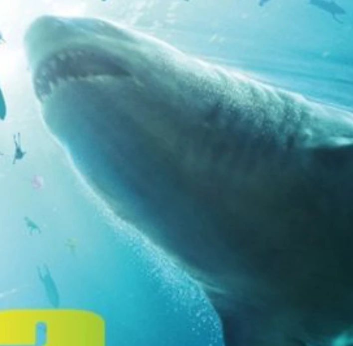 Beta Meg | Meg book series Wiki | Fandom