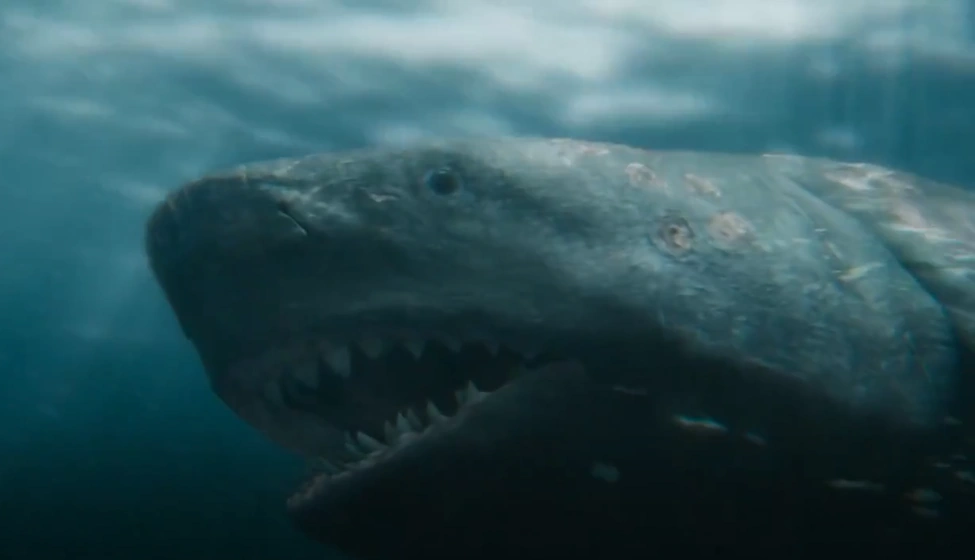 Beta Meg | Meg book series Wiki | Fandom