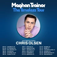 The Timeless Tour | The Meghan Trainor Wiki | Fandom