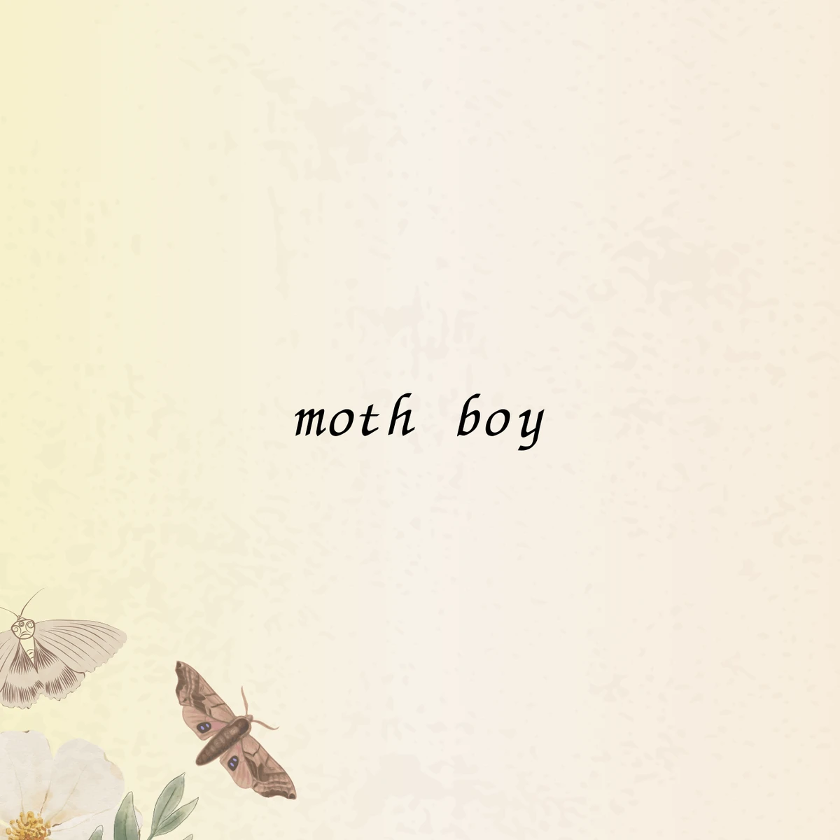 moth boy | Melanie Martinez Fanon Wiki | Fandom