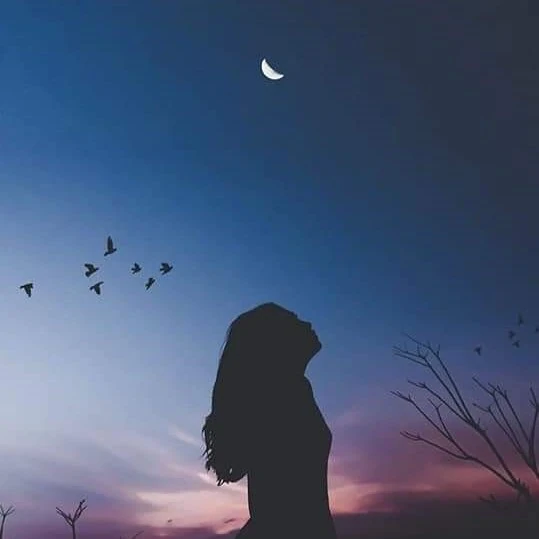 Superlunary | Melanie Martinez Fanon Wiki | Fandom