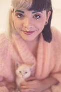 Penny Kitty Sleep Over Photo Shoot | Melanie Martinez Wiki | Fandom
