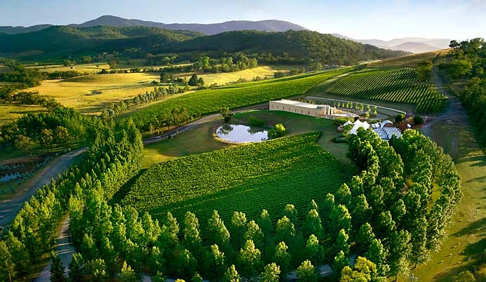 Yarra Valley | Melbourne Wiki | Fandom