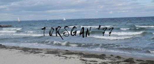 Melodin Vereld 77 | Melodi ni Solarie Wiki | Fandom