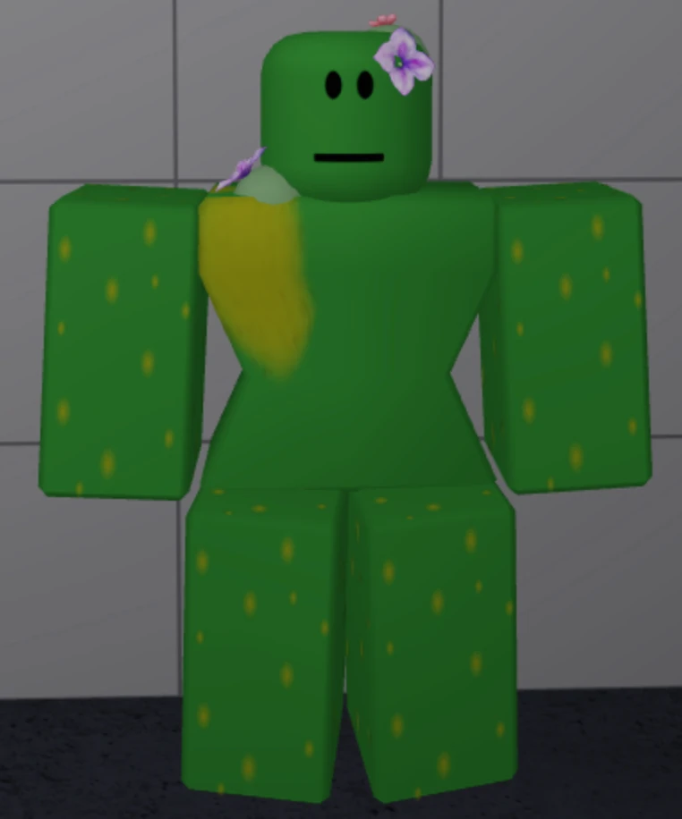 Cactus | Melon Playground RP Wiki | Fandom