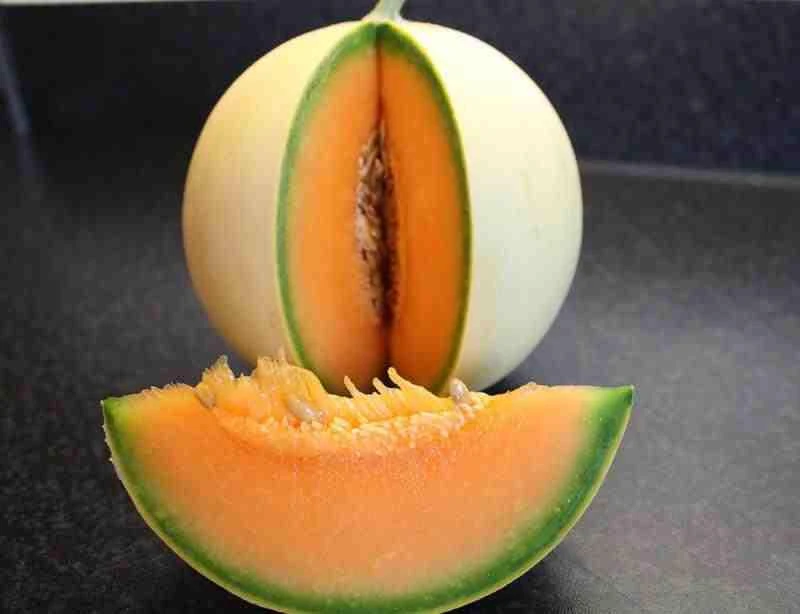 Honeymoon melon | Melons Wiki | Fandom