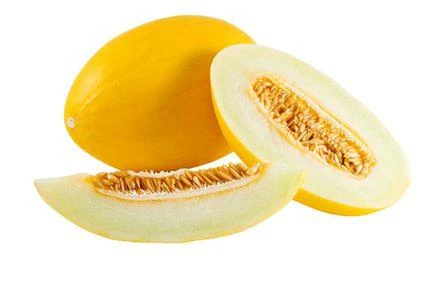 Canary Melon | Melons Wiki | Fandom