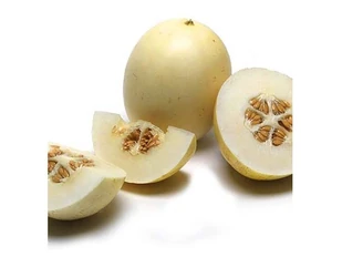 Sprite Melon | Melons Wiki | Fandom
