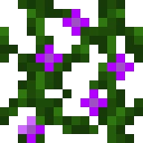 Orchid Vines | MelonsPickaxeCraft Wiki | Fandom