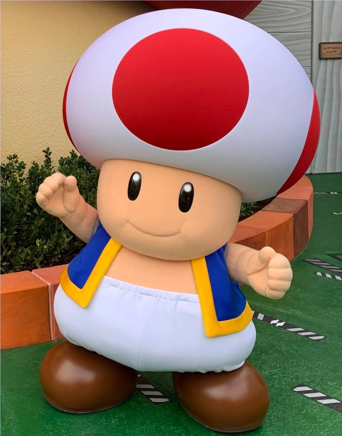 Chonky Toad | Melrod's Gallery Wiki | Fandom