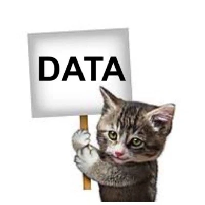 Zimme | Meme Basement Wiki | Fandom