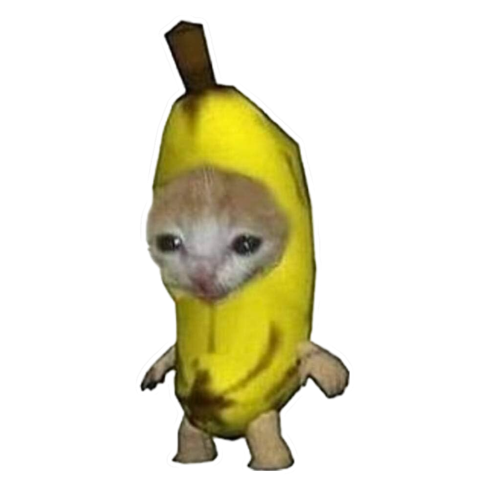 Banana Cat | Meme Cat Wiki | Fandom