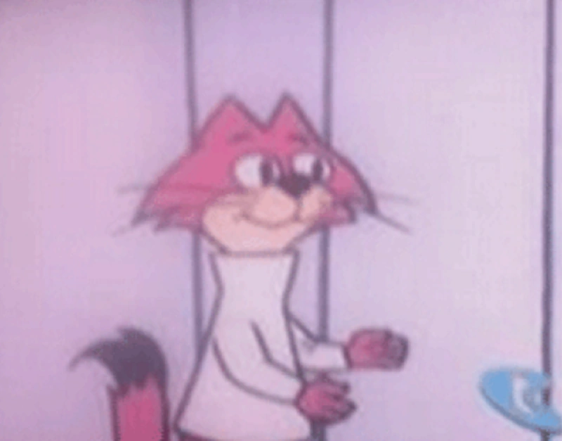 The Cat | Meme Hell Wikia | Fandom