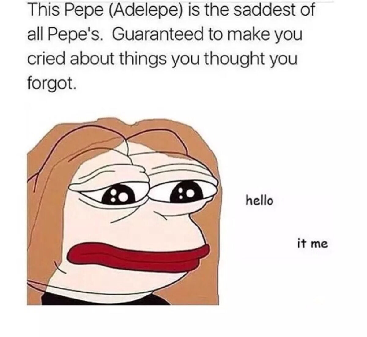 Hello, Adele | Meme Hell Wikia | Fandom