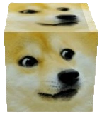Doge | Meme Sea Wiki | Fandom