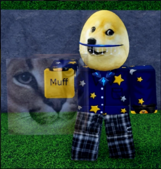 Invisible Power | Meme Sea Wiki | Fandom