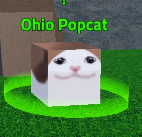 Ohio Popcat | Meme Sea Wiki | Fandom