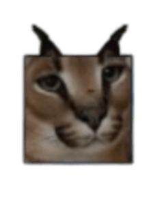 Floppa Hat | Meme Sea Wiki | Fandom