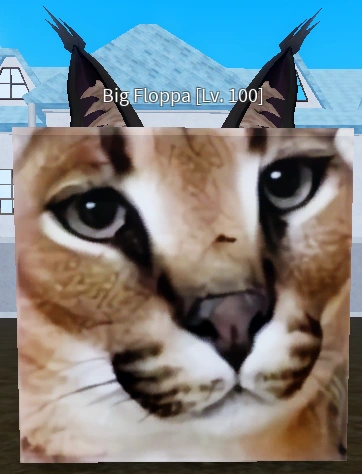 Big Floppa | Meme Sea Wiki | Fandom