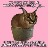 Meme Sea Wiki | Fandom