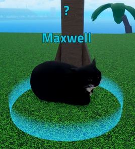 Maxwell | Meme Sea Wiki | Fandom