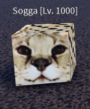 Sogga | Meme Sea Wiki | Fandom