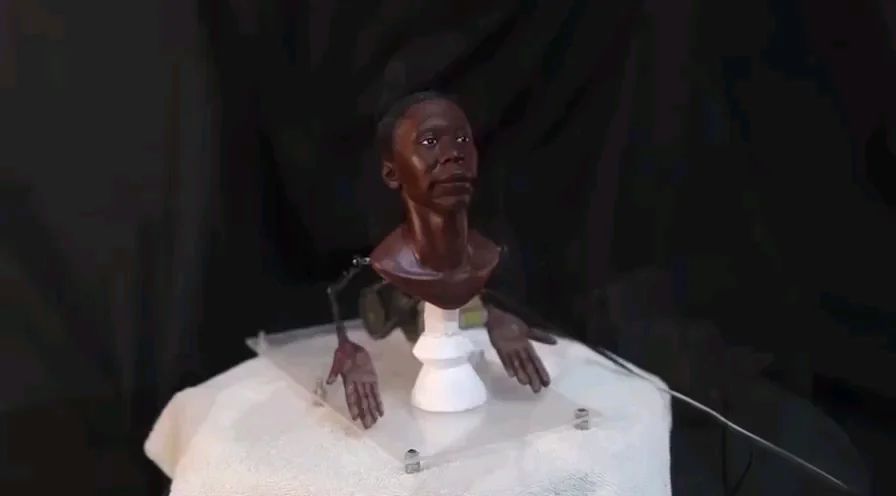 Khaby Lame Mechanism | Teh Meme Wiki | Fandom