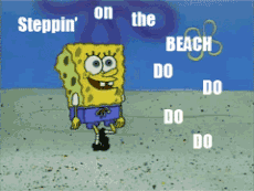 Steppin On The Beach | Teh Meme Wiki | Fandom