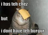 Teh | Teh Meme Wiki | Fandom