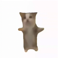 Happy Happy Happy Cat | Teh Meme Wiki | Fandom