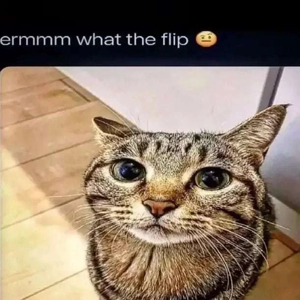 What da flip | Teh Meme Wiki | Fandom