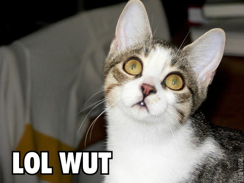 LOL | Teh Meme Wiki | Fandom