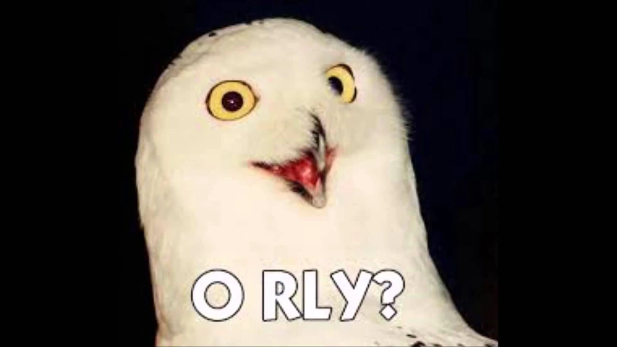 O RLY? | Teh Meme Wiki | Fandom