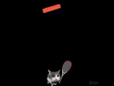 Cat Throwing a Brick/Gallery | Teh Meme Wiki | Fandom