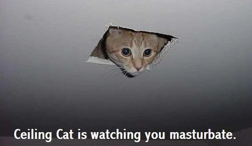 Ceiling Cat Where Is Your God Now