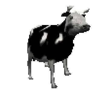 Cow Gif