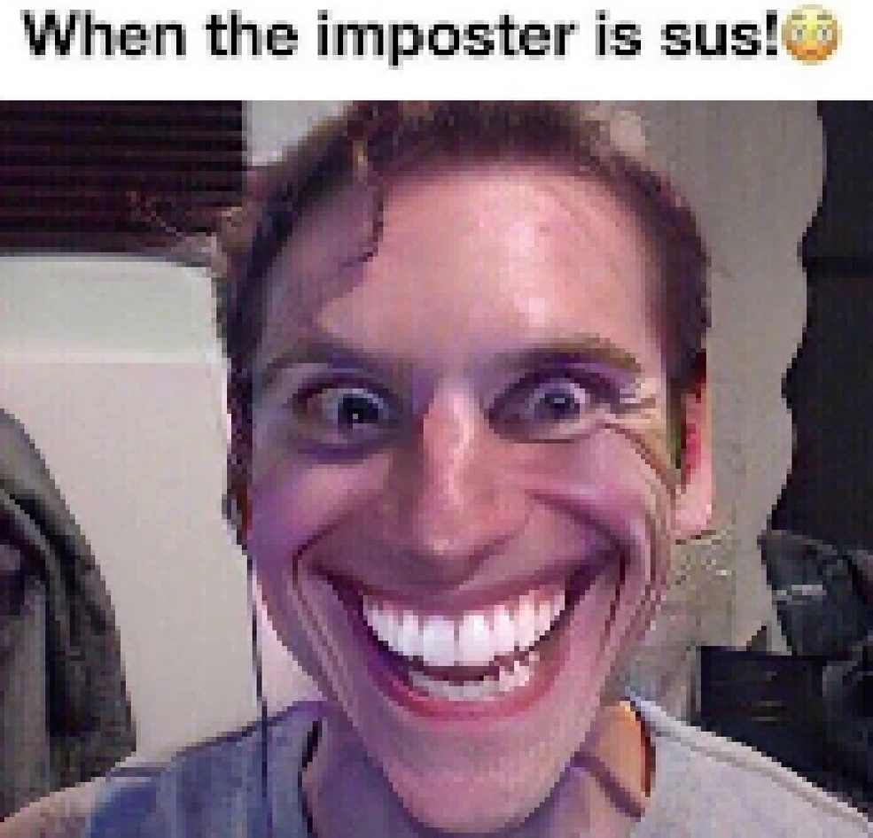 Sus Memes #amongus #sus #cat #dog #gamer #lol #meme #impostor