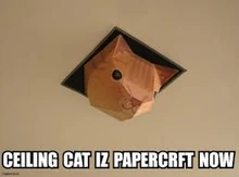 Ceiling Cat | Teh Meme Wiki | Fandom