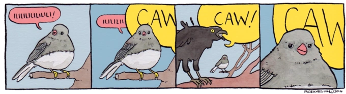Annoyed Bird | Teh Meme Wiki | Fandom