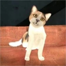 GMOD Gravity Cat | Teh Meme Wiki | Fandom