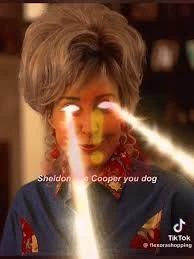 Sheldon Lee Cooper, You Dawg | Teh Meme Wiki | Fandom
