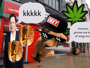 Fuzz | Teh Meme Wiki | Fandom