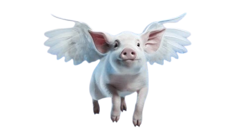 Teh Meme Fanon Wiki | Fandom