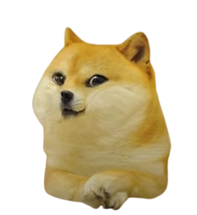 Kid Doge | Memeify Wiki | Fandom