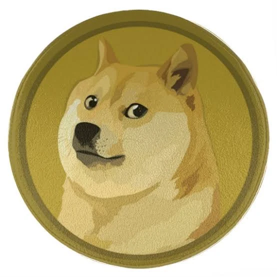 Doge | Memeipedia Wiki | Fandom