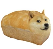 Doge | Meme Wiki | Fandom