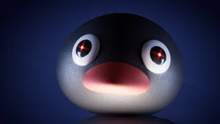 Noot Noot | Memepedia Wiki | Fandom