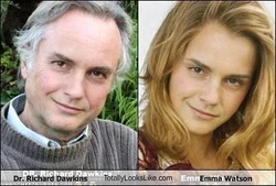 Totally Looks Like
