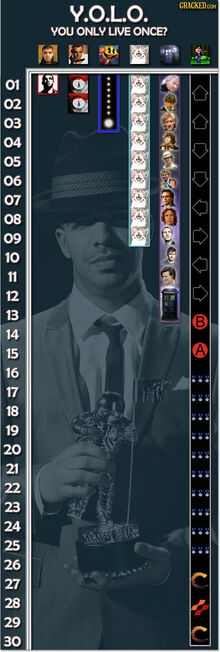 YOLO | Memepedia Wiki | Fandom