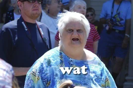 Wat | Memepedia Wiki | Fandom